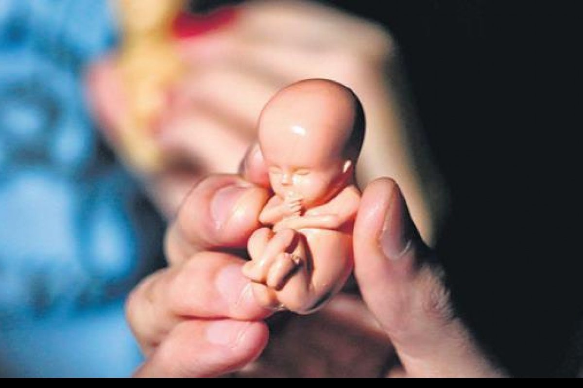 The Rights of an Unborn Child: Understanding Section 20 of the Hindu ...